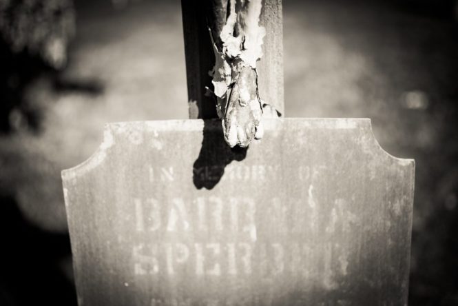 Most Holy Trinity Cemetery | Kelly Williams, Photographer